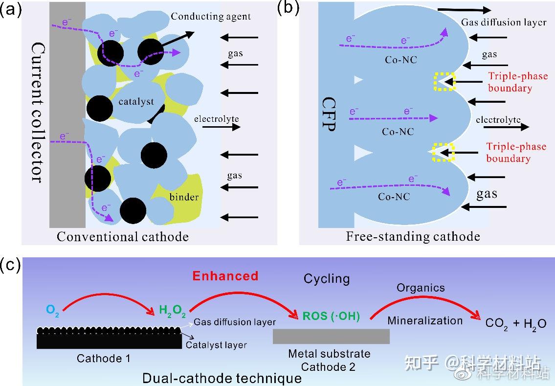 华中科大王得丽课题组JMCA：超疏水自支撑电极用于全pH范围电合成H2O2 - 知乎