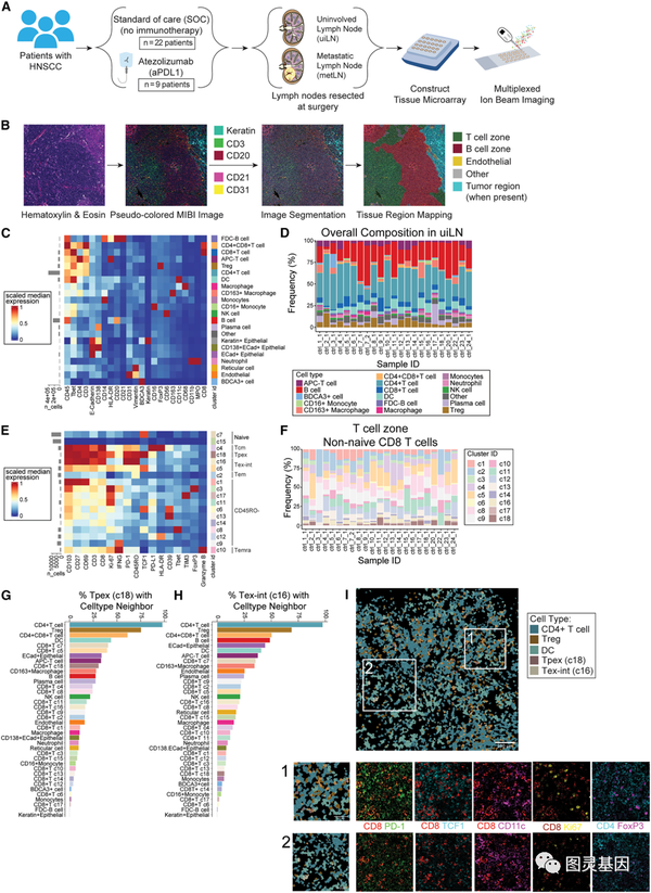Cell | 发现并激活免疫检测点抑制剂靶向CD8+ T细胞 - 知乎