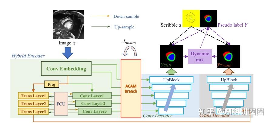 CNN+Transformer再突破！拿下一区TOP！ - 知乎