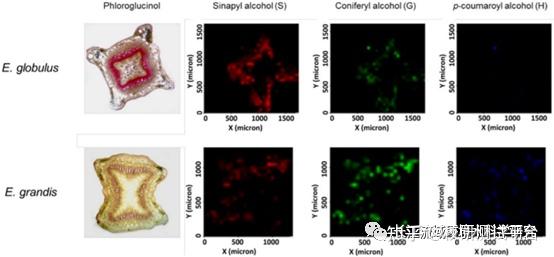 傅里叶变换离子回旋共振质谱（FT-ICR MS）解析及应用 - 知乎