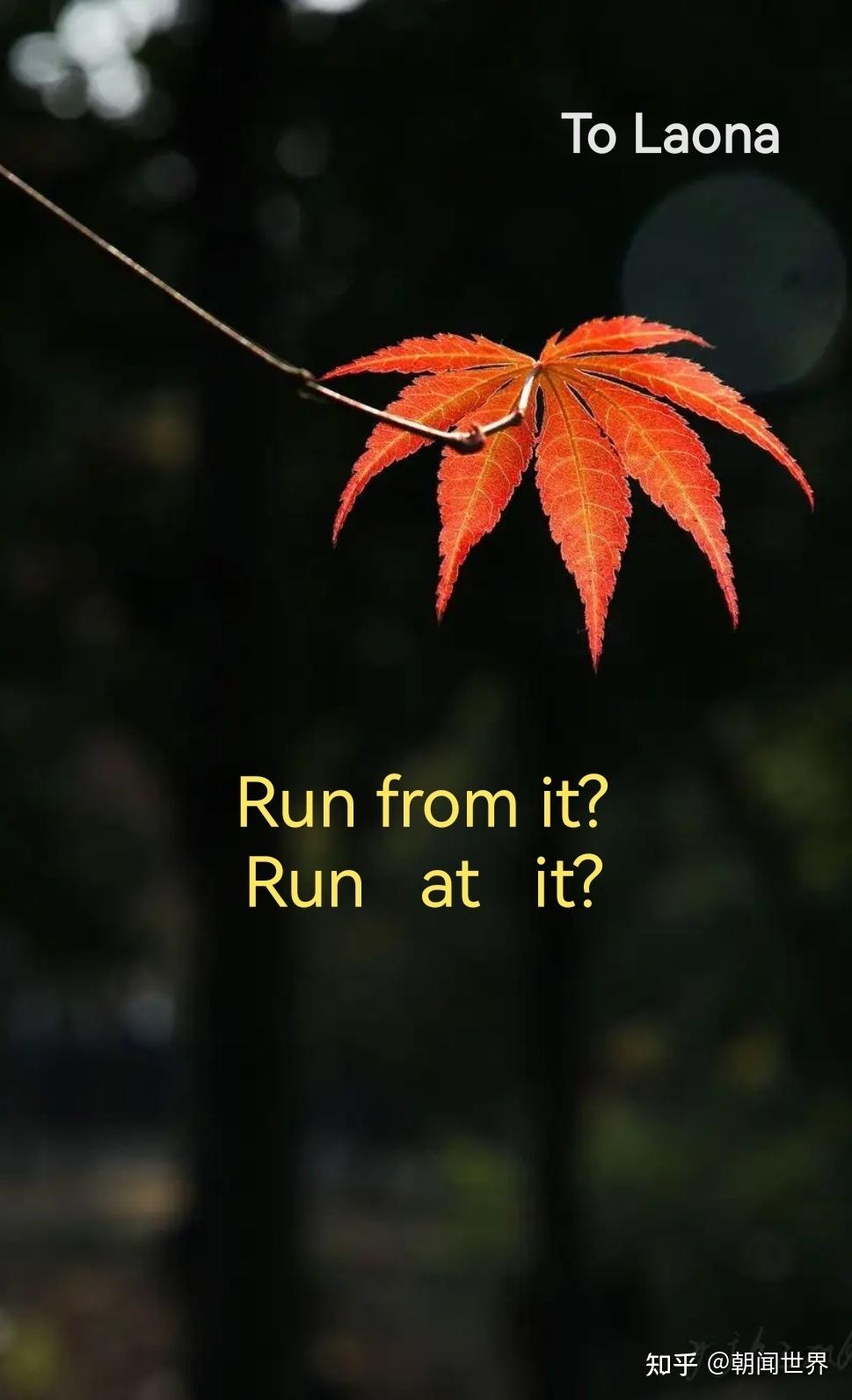 Run from it? Run at it? - 知乎