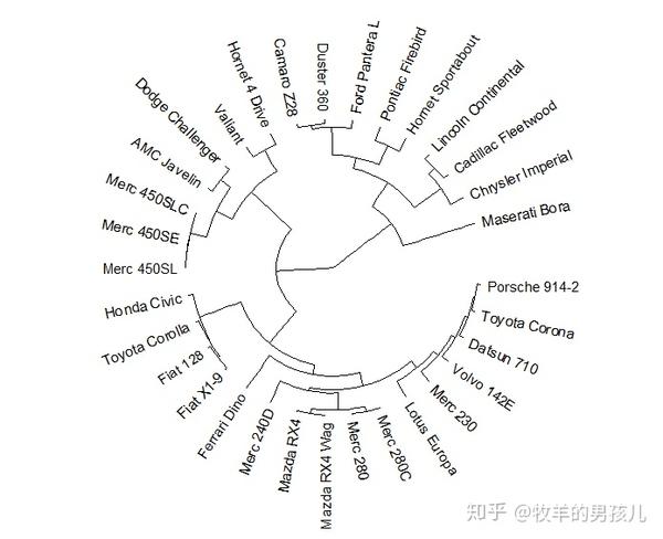 R语言ggtree画圆形的树状图展示聚类分析的结果 - 知乎