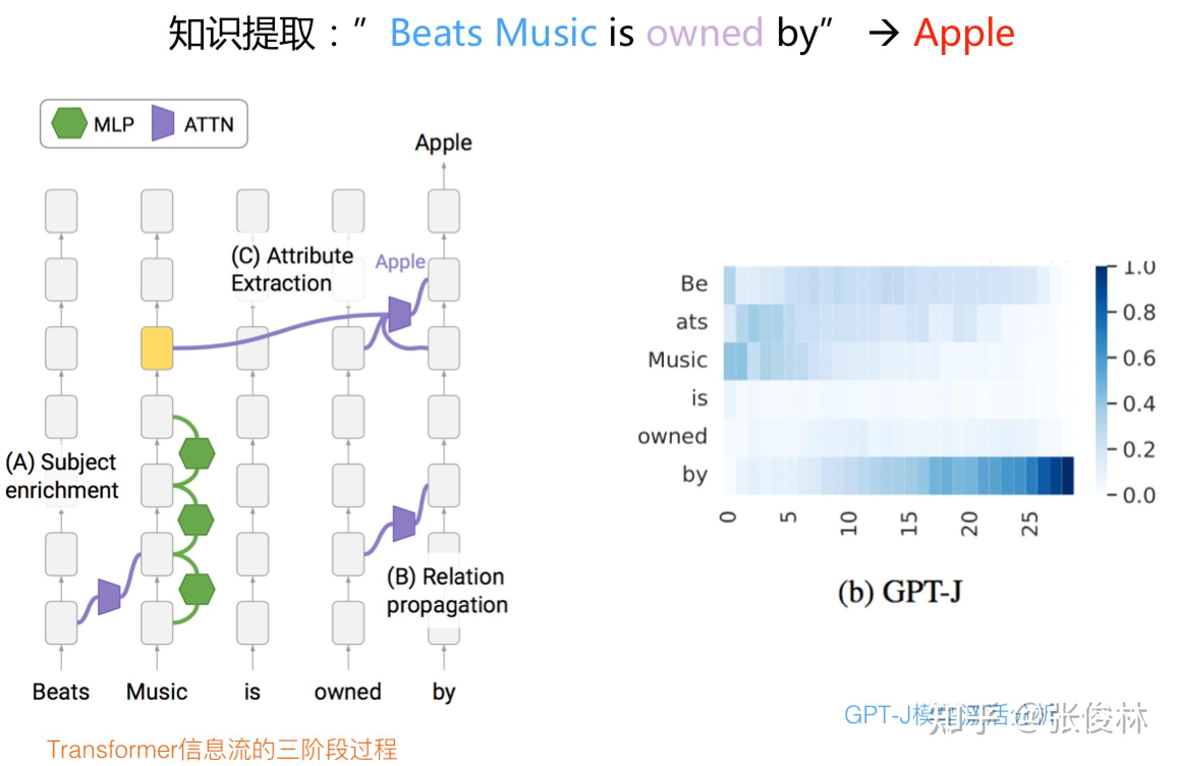 世界的参数倒影：为何GPT通过Next Token Prediction可以产生智能 - 知乎