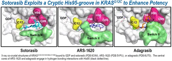 新型KRAS抑制剂tricomplex或有望破解KRAS-G12C耐药难题 - 知乎