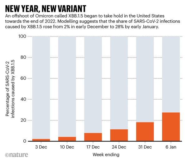 nature, 2023-1-10, the rise of variant XBB.1.5 占比已达28% - 知乎