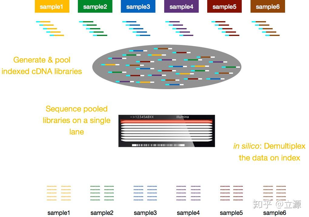 第一章 RNA-seq入门 - 知乎
