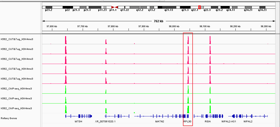 一文读懂 | 染色质表观遗传学研究利器_CUT&Tag - 知乎