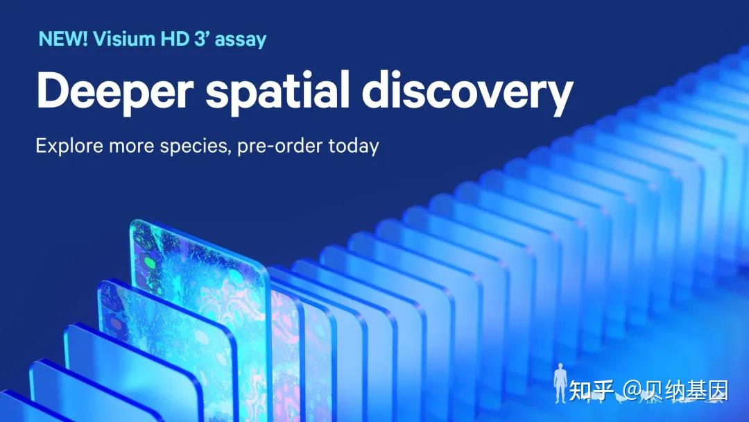 Visium HD 3'×ONT测序：双剑合璧，尽显空间全长转录组“超清解析”硬实力 - 知乎