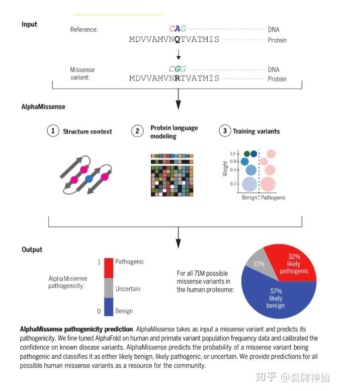 AlphaMissense笔记 - 知乎