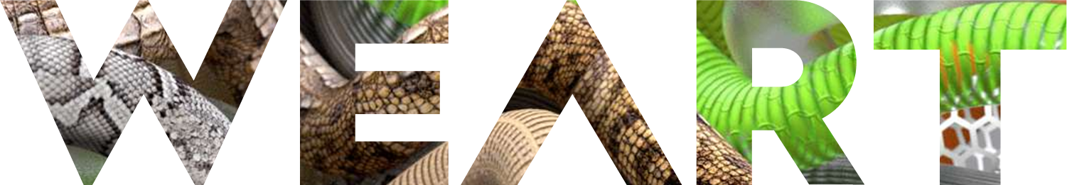 人物 | 创造一个视觉的音乐世界——LOXEL - 知乎