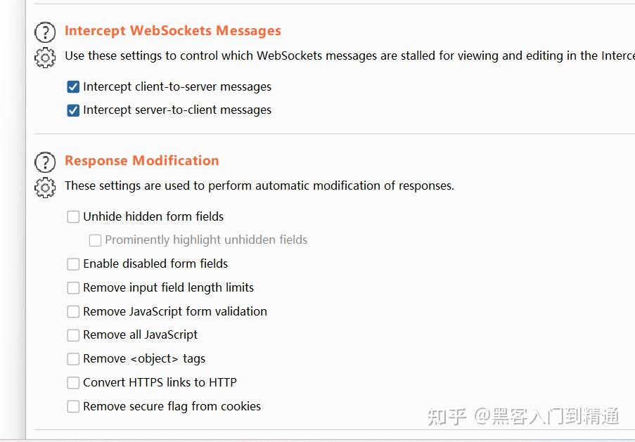 【2023最新版】超详细Burp Suite安装保姆级教程，Burp Suite的基本介绍及使用，收藏这一篇就够了 - 知乎