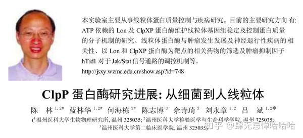 Clp proteolytic complex（Clp蛋白酶复合物） - 知乎