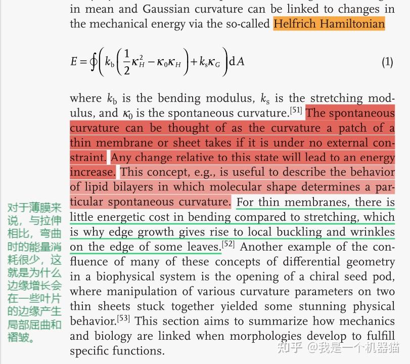 表面曲率 - 知乎