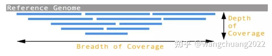 测序深度和覆盖度（Sequencing depth and coverage） - 知乎