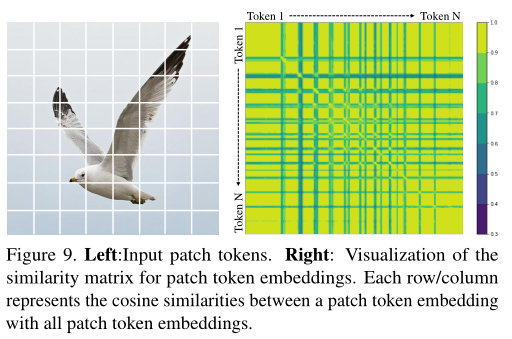 【论文阅读】《TS-CAM: Token Semantic Coupled Attention Map for Weakly Supervised Object Localization》 - 知乎