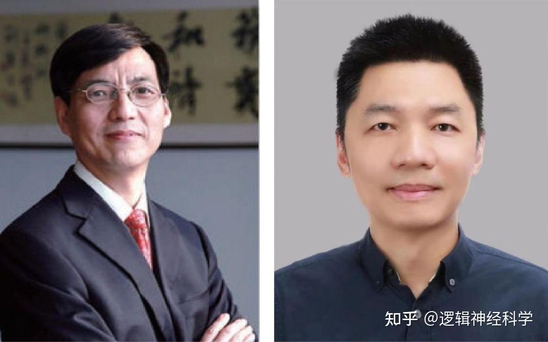 Ann Neurol︱解放军总医院于生元/董钊团队揭示偏头痛重叠连边社区的丘脑-皮层异常交互模式 - 知乎