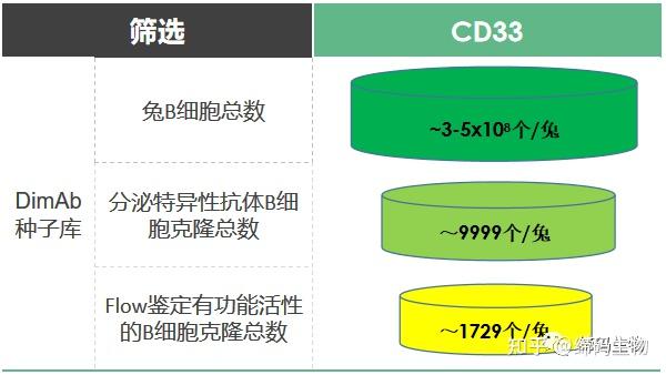 肿瘤免疫靶点 | CD33 - 知乎
