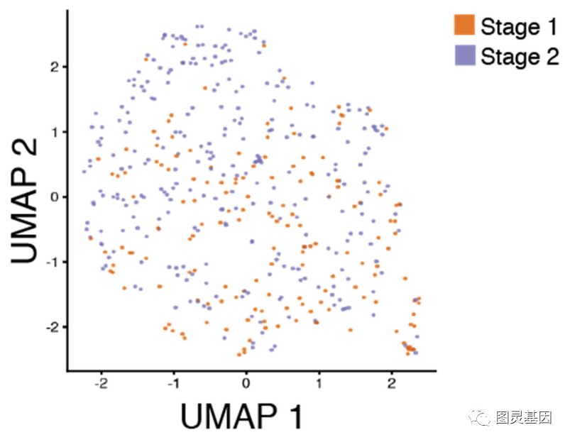 Sci Immu | γδ T细胞如何发育和产生免疫反应 - 知乎
