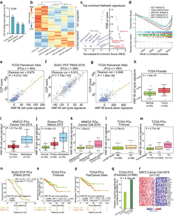 Nat Commun︱卫功宏团队揭示广泛的胚系-体细胞突变互作促进前列腺癌进展 - 知乎