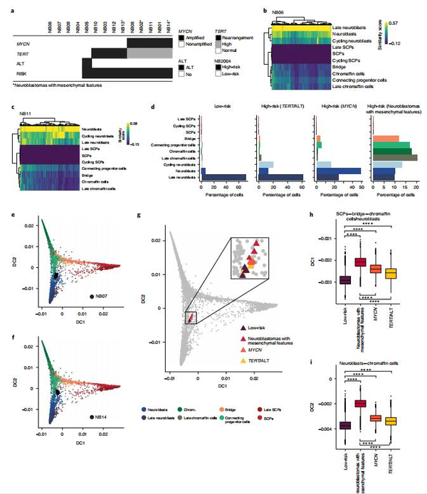 Nat Gen | 单细胞转录组学分析神经母细胞瘤的发育起源 - 知乎