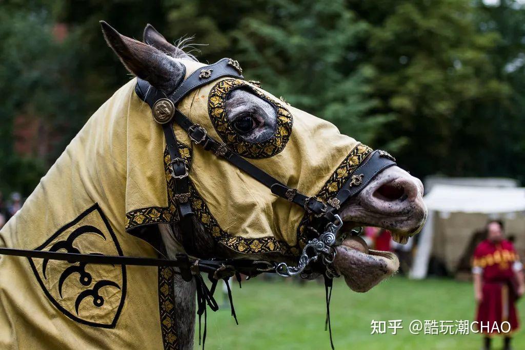 披上战袍Ⅳ！聊聊乐高城堡系列之【骑士和战马】盘点所有马袍零件 - 知乎