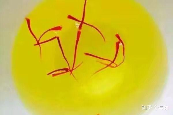 藏红花喝多久才有效果 一克藏红花能喝多长时间 - 知乎