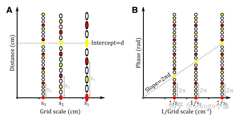 Using Grid Cells for Navigation - 知乎