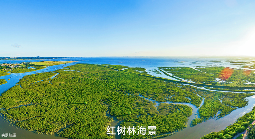 碧桂园红树湾首付8万总价仅24万元 - 知乎