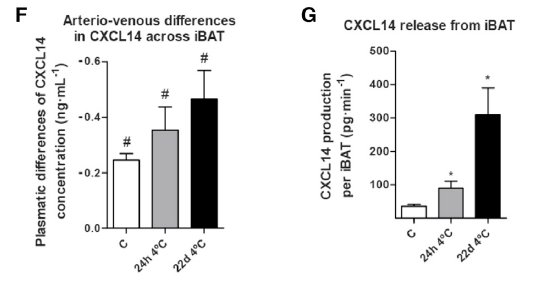 您了解CXCL14吗？——权威Cell Metabolism 为您答疑 - 知乎