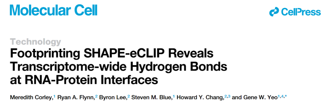 Mol Cell | 新方法揭示单核苷酸分辨率RNA-蛋白质互作界面 - 知乎