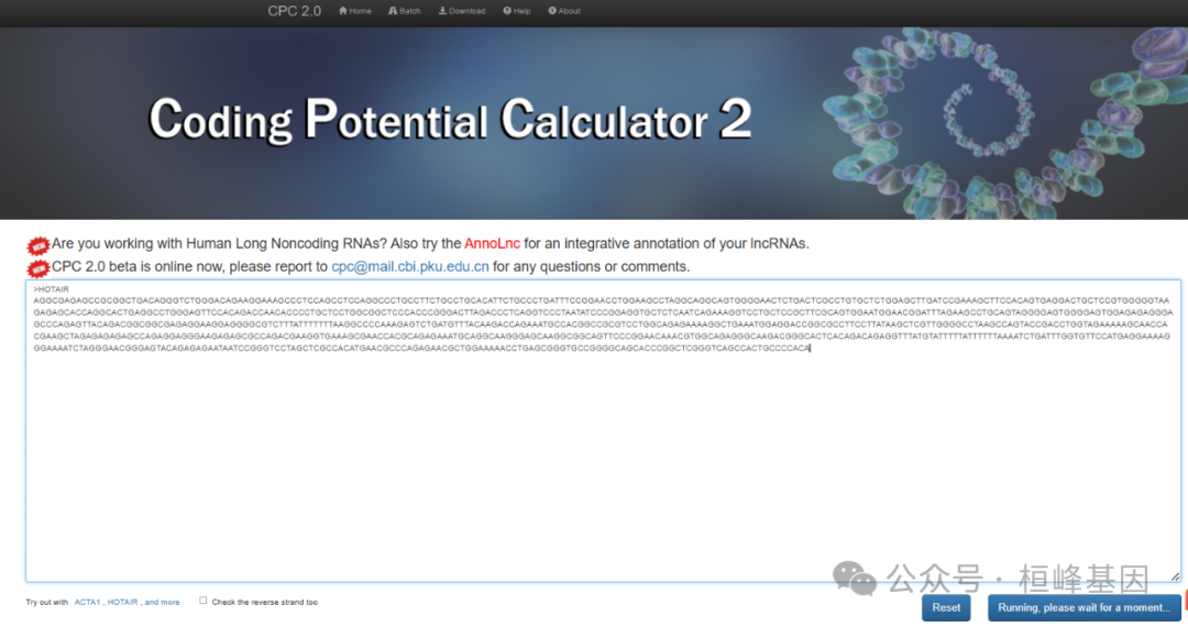 SEQ 5. 转录本蛋白编码能力预测(CPC2) - 知乎