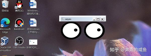 在Windows上运行Linux应用 - 知乎