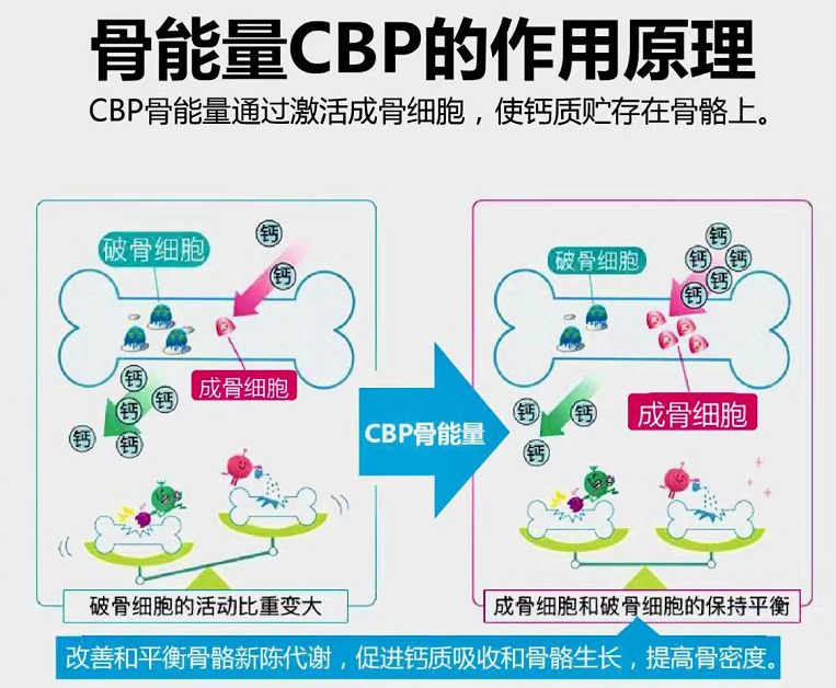 科普新知：CBP高钙牛奶的突出功能 - 知乎