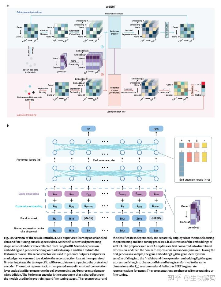 每日文摘 | 2022年10月30日 - 知乎