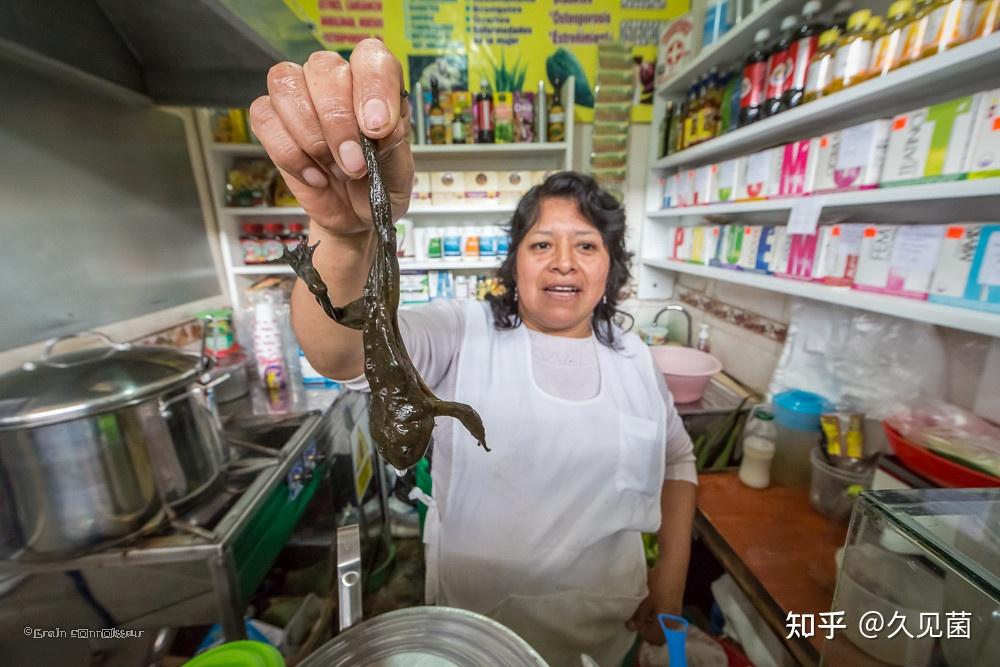 将青蛙榨成汁喝掉？秘鲁经典热卖饮品，真的有强身壮阳的功效吗？ - 知乎