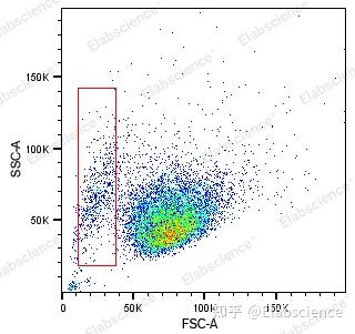 一文讲清楚：Annexin V凋亡实验注意事项 - 知乎