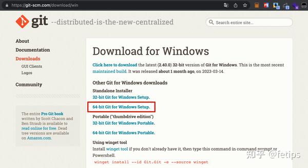 Windows安装Zsh终端 - 知乎