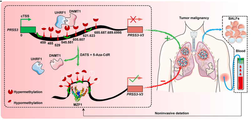 DNA甲基化与转录组关联不上？看看这篇文章 - 知乎