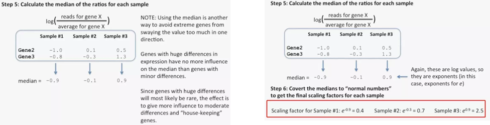一文详解 DEseq2 差异分析原理和实践 - 知乎