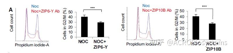 ACROBiosystems百普赛斯LIV-1蛋白，行业鲜见，助力ADC研发 - 知乎