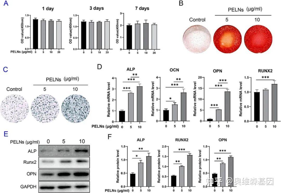 奥维森科技：微生物组学+转录组学研究肠道菌群对骨质疏松的影响 - 知乎
