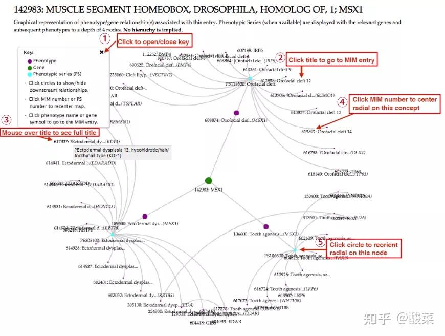 OMIM数据库使用教程免费领！文末免费领！ - 知乎