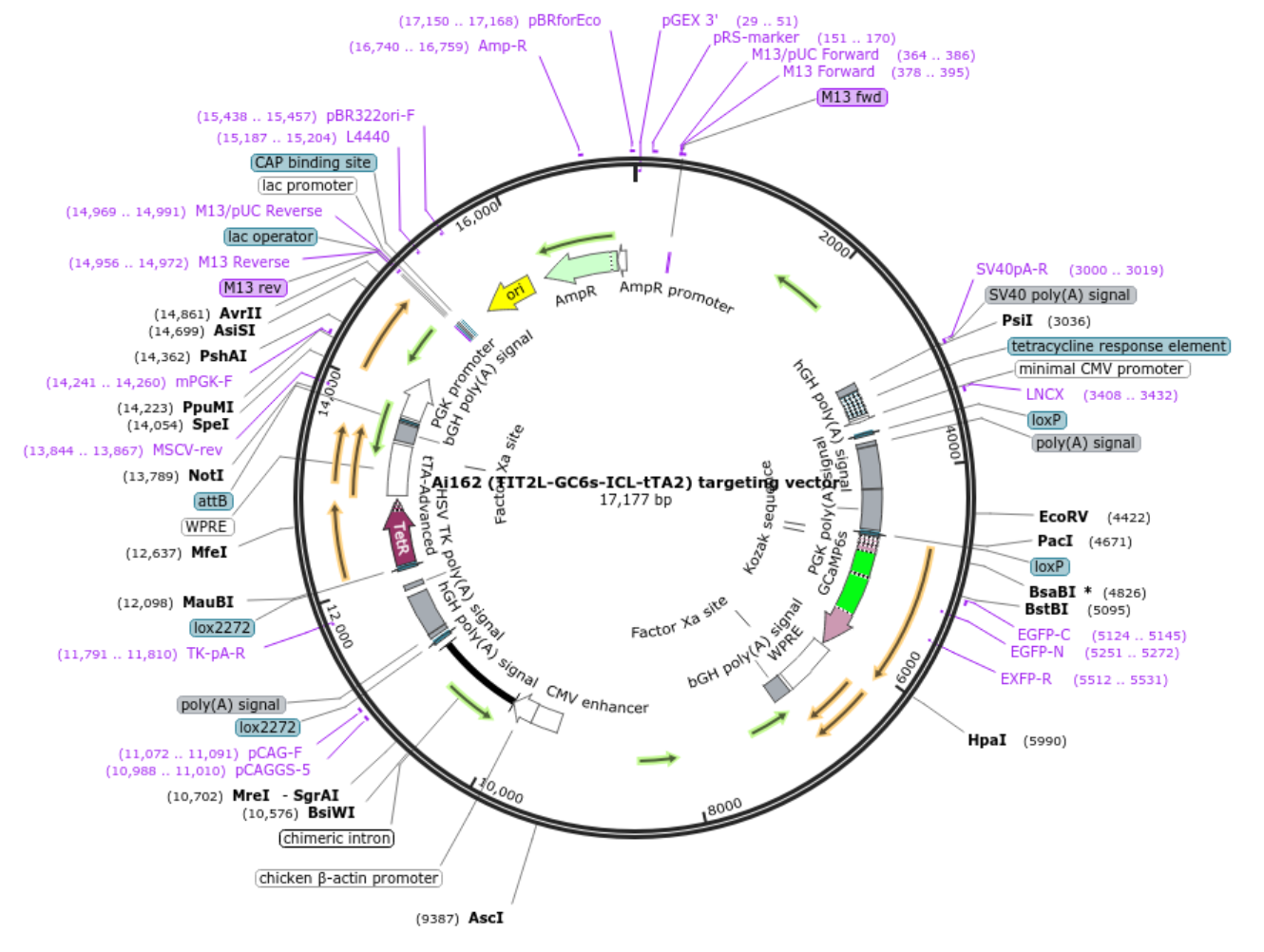 文献分享：交感神经-肠内分泌L细胞调节GLP-1释放 - 知乎