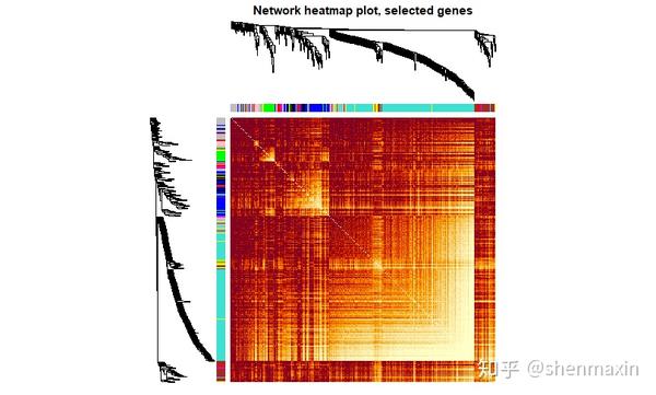WGCNA分析 - 知乎