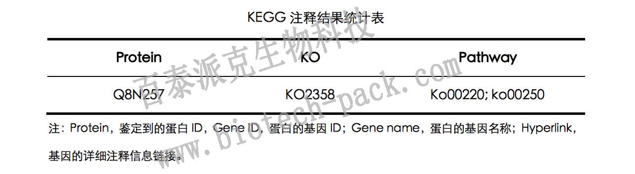 KEGG通路注释及富集分析服务 - 知乎
