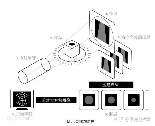 一文读懂显微CT（Micro-CT） - 知乎