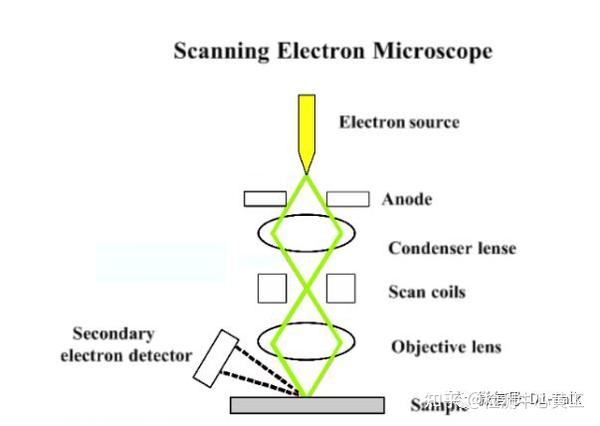 【材料课堂】一文全面了解SEM扫描电镜 - 知乎