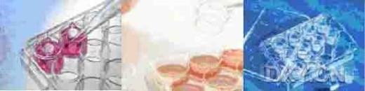 Transwell实验方法 - 知乎