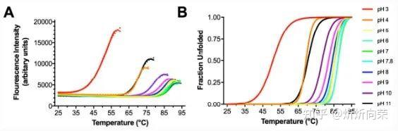一文读懂差示扫描荧光法（DSF） - 知乎
