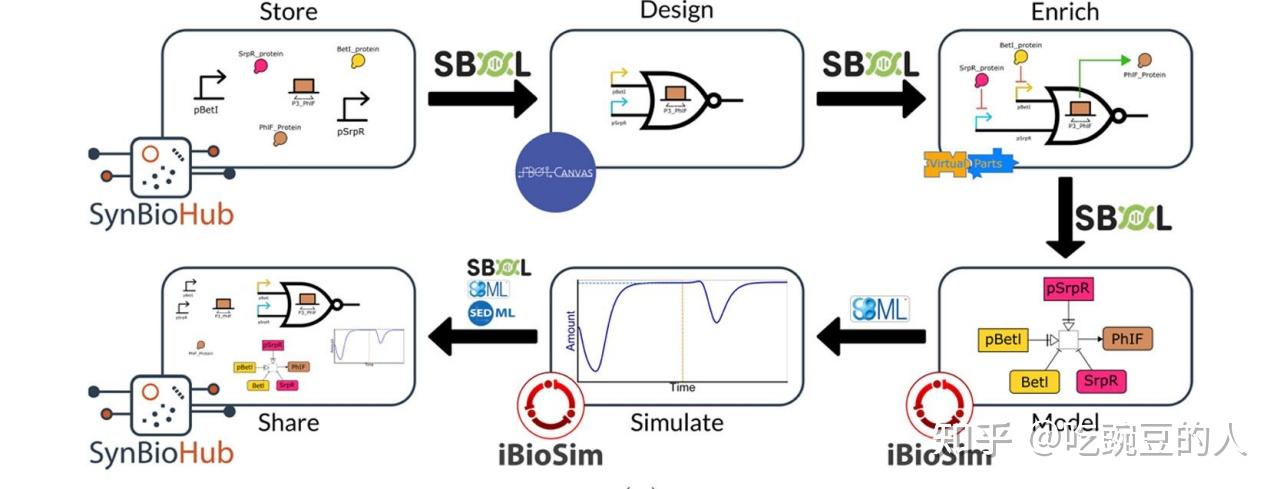 文献解读：SynBioSuite——一款改进基因设计和建模工作流程的工具 - 知乎